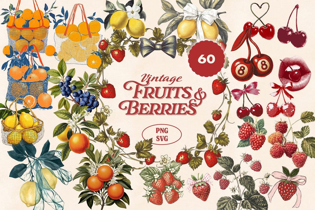 Vintage Fruit & Berry Clipart Bundle – 60 Hand Drawn Illustrations in ...
