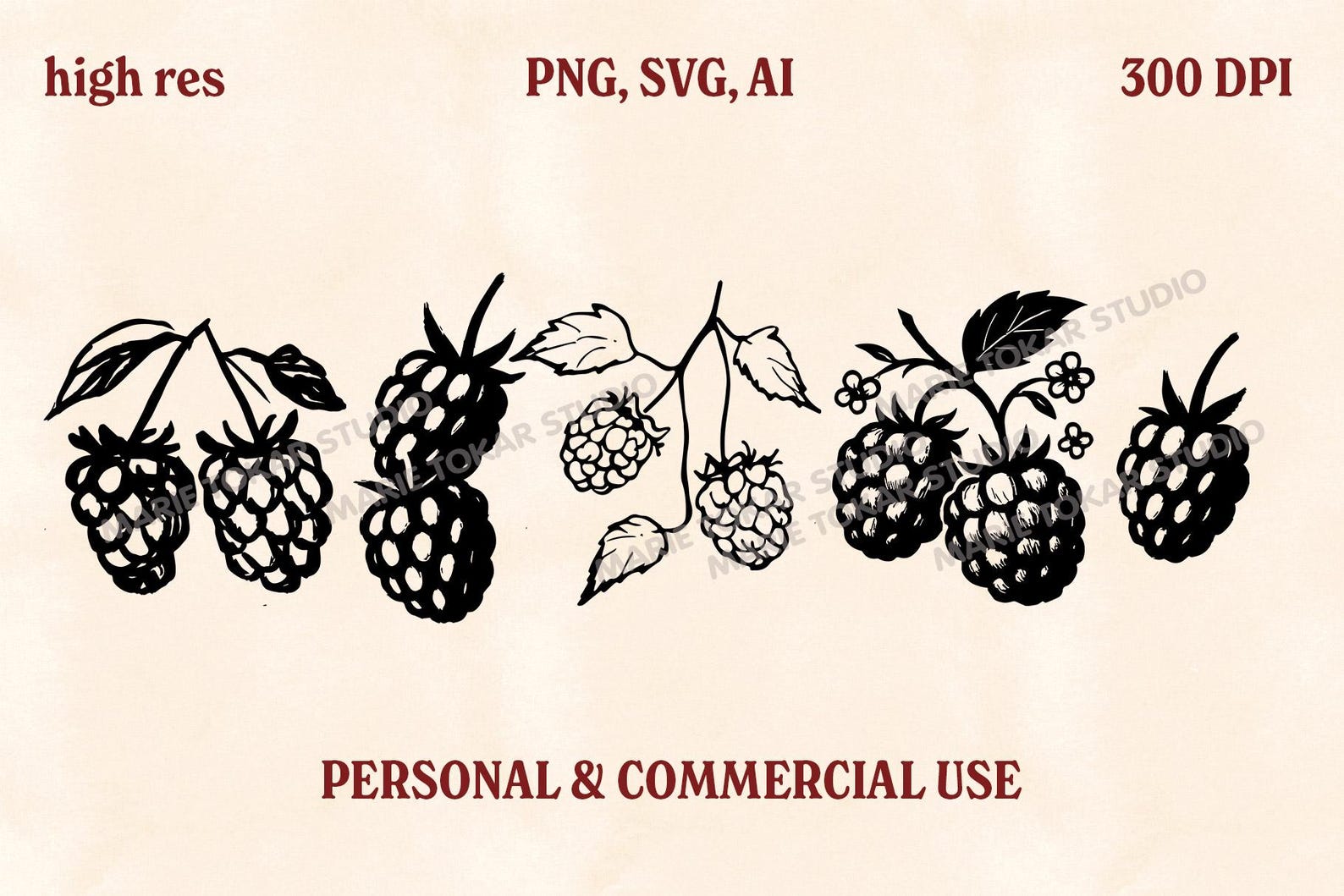 20 Line Art Raspberry Clipart Bundle, Whimsical Coquette Cute Hand ...