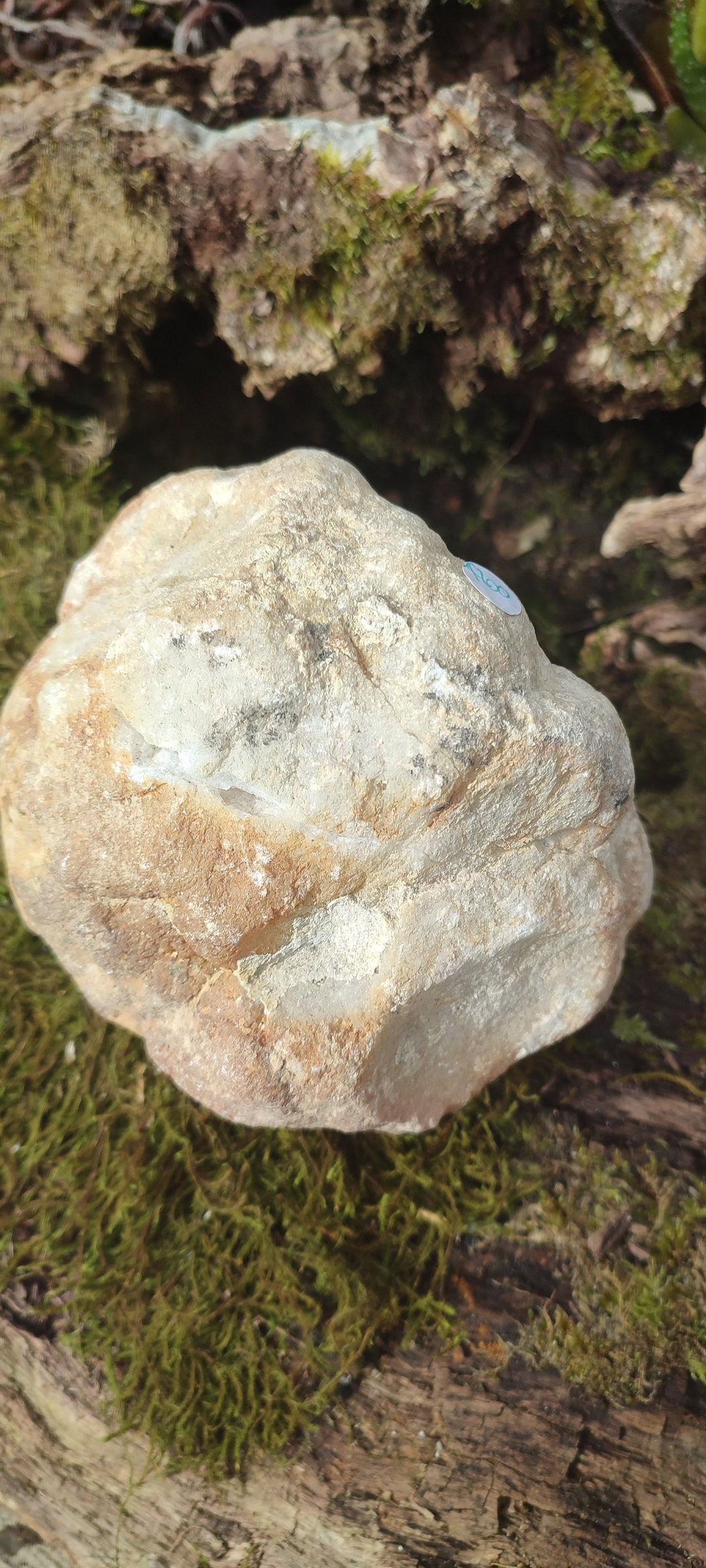 White Quartz Geode AAA Grams,rock Crystal Geodes Crystal Cluster in ...