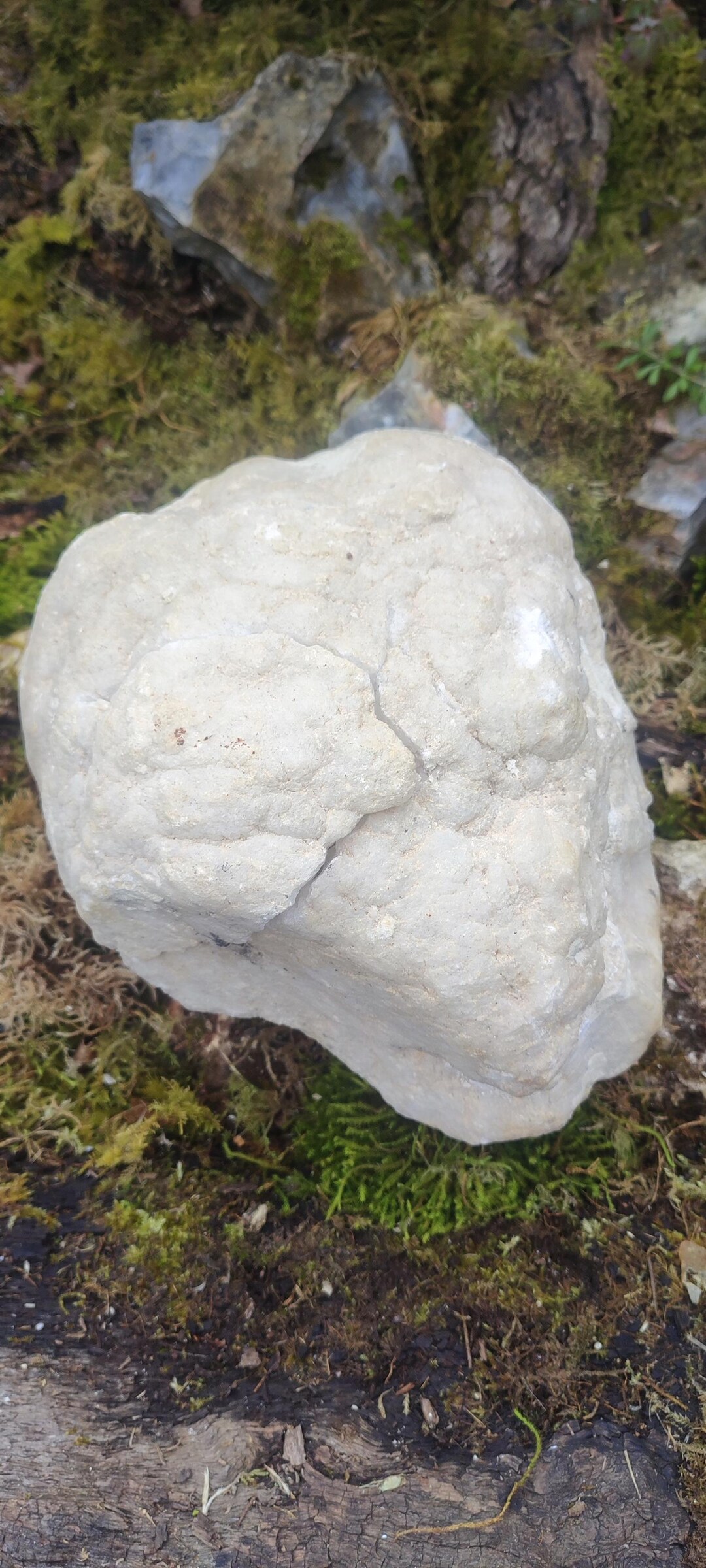 White Quartz Geode AAA Grams,rock Crystal Geodes Crystal Cluster in ...