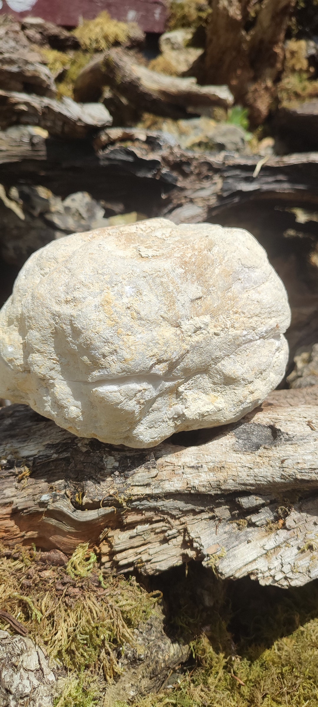 White Quartz Geode AAA Grams,rock Crystal Geodes Crystal Cluster in ...