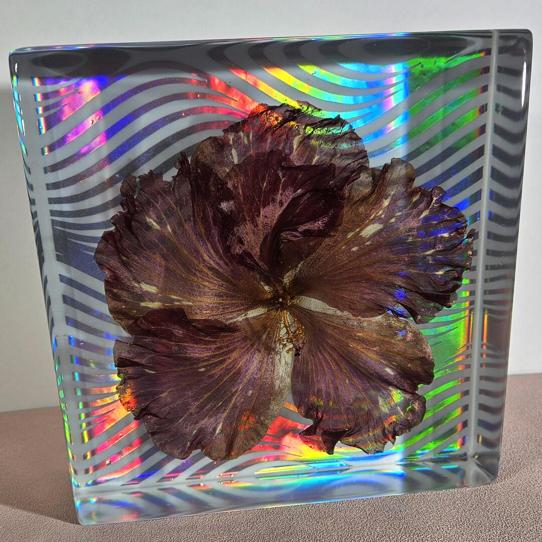 Preserved Hawaiian Hibiscus Resin Art Geometric Dried Flower Pink ...