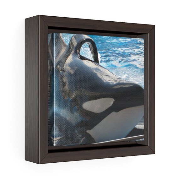 Orca Square Frame - Etsy