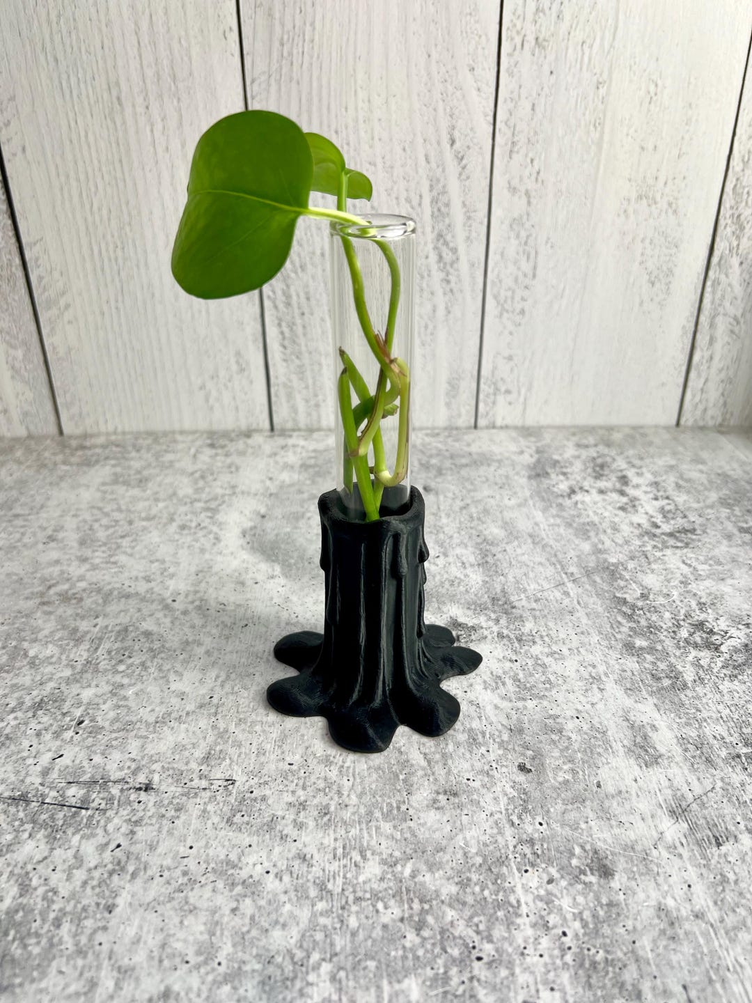 Candle Single Tube Propagation Plant Stand - 3D Print - Propagation ...