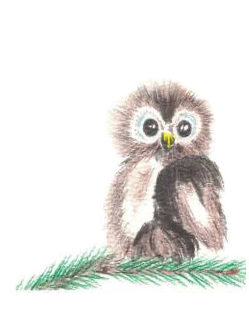 Greeting Card -- Cute Owl - Etsy
