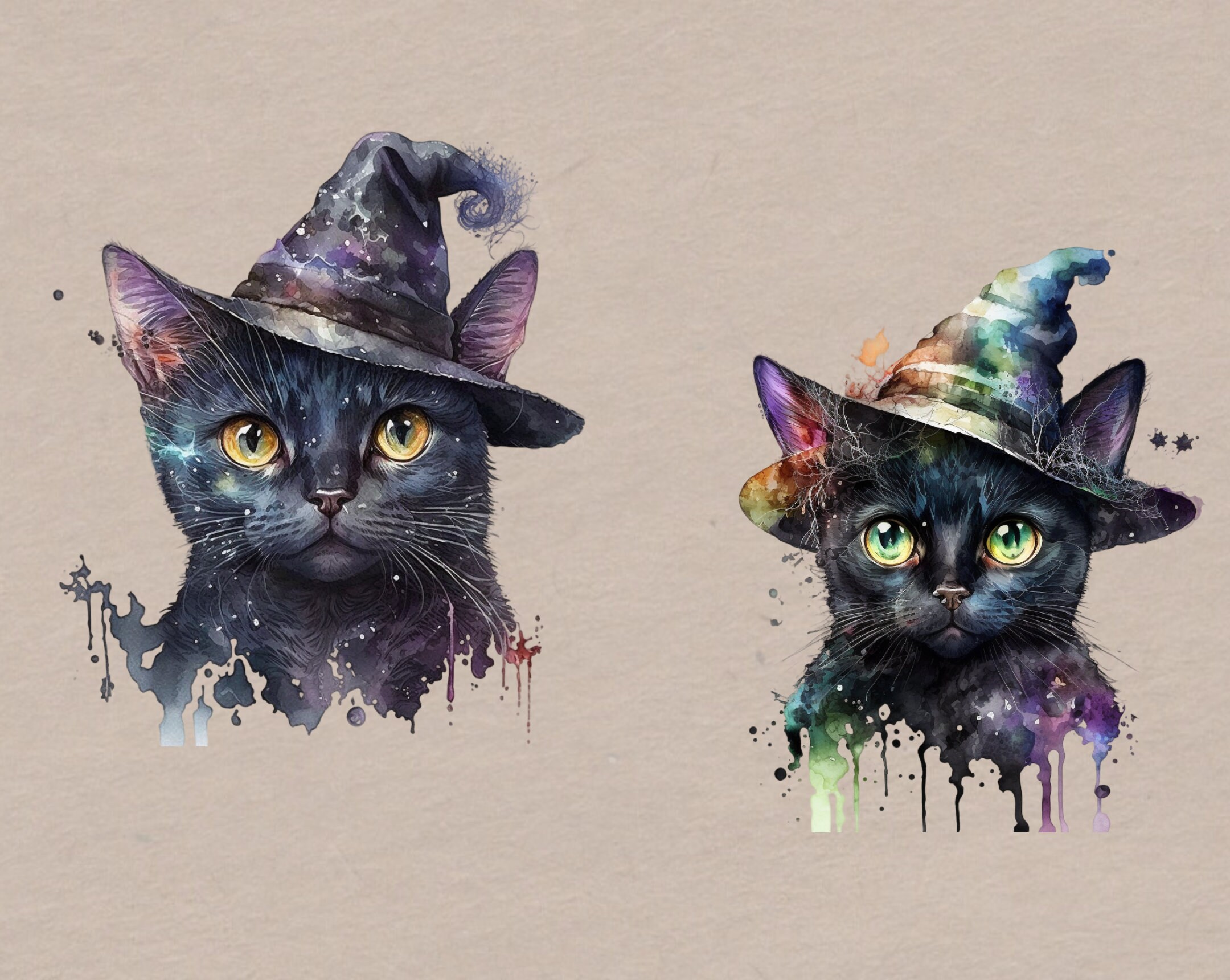 25 Black Cat With Witch Hats Clipart PNGPOD Allowed Digital - Etsy