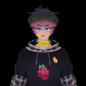 Warning Label Collars for Vtuber Models Vtuber Asset Collar - Etsy