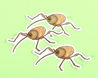 Low Poly Acorn Weevil Closeup Glossy Vinyl Sticker - Etsy
