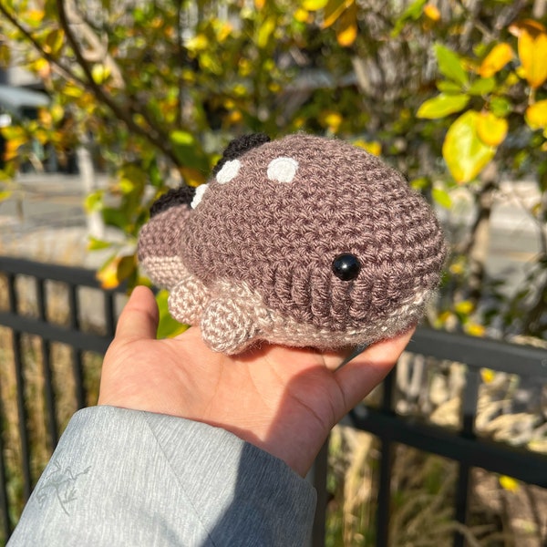 Clodsire Plush - Etsy