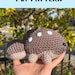 PDF PATTERN: Clodsire Plushie Crochet Pattern - Etsy
