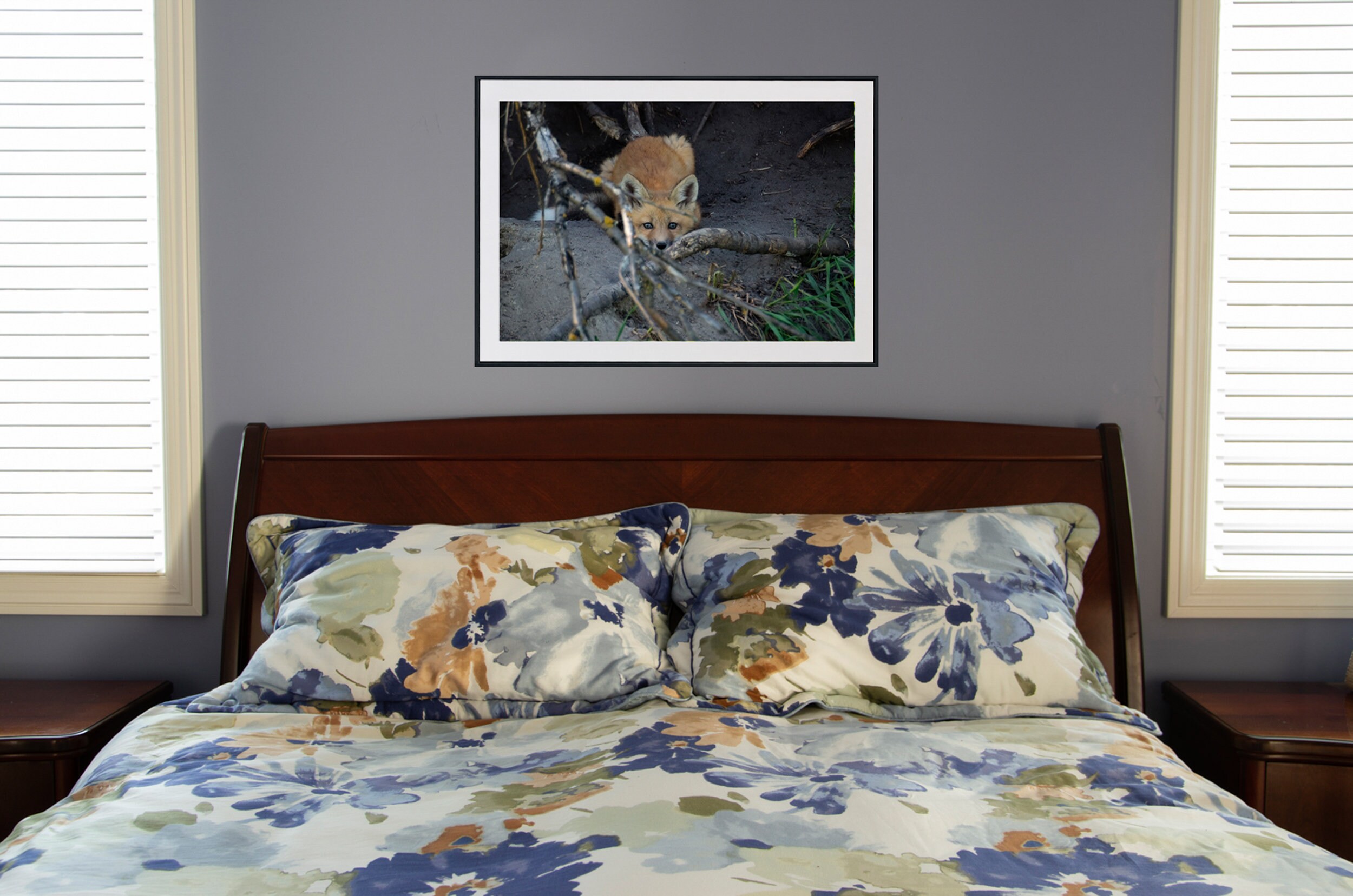 Red Fox Pup Wall Art Wild Canine Nature Animal Cute Photo Print Wall ...