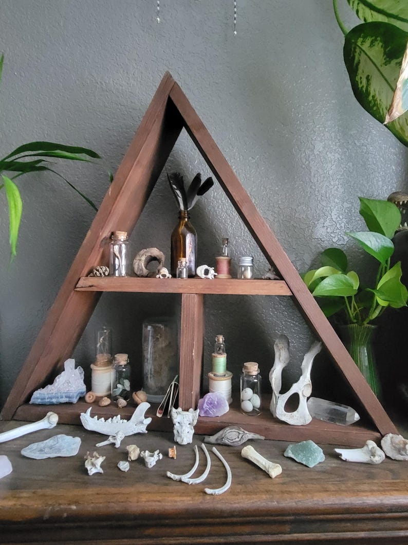 Strange and Unusual Oddity Mystery Box - Etsy