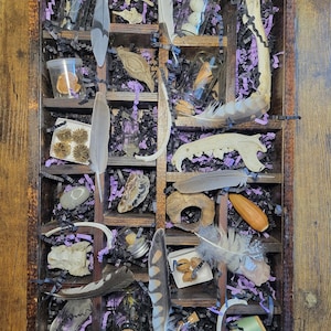 Strange and Unusual Oddity Mystery Box - Etsy