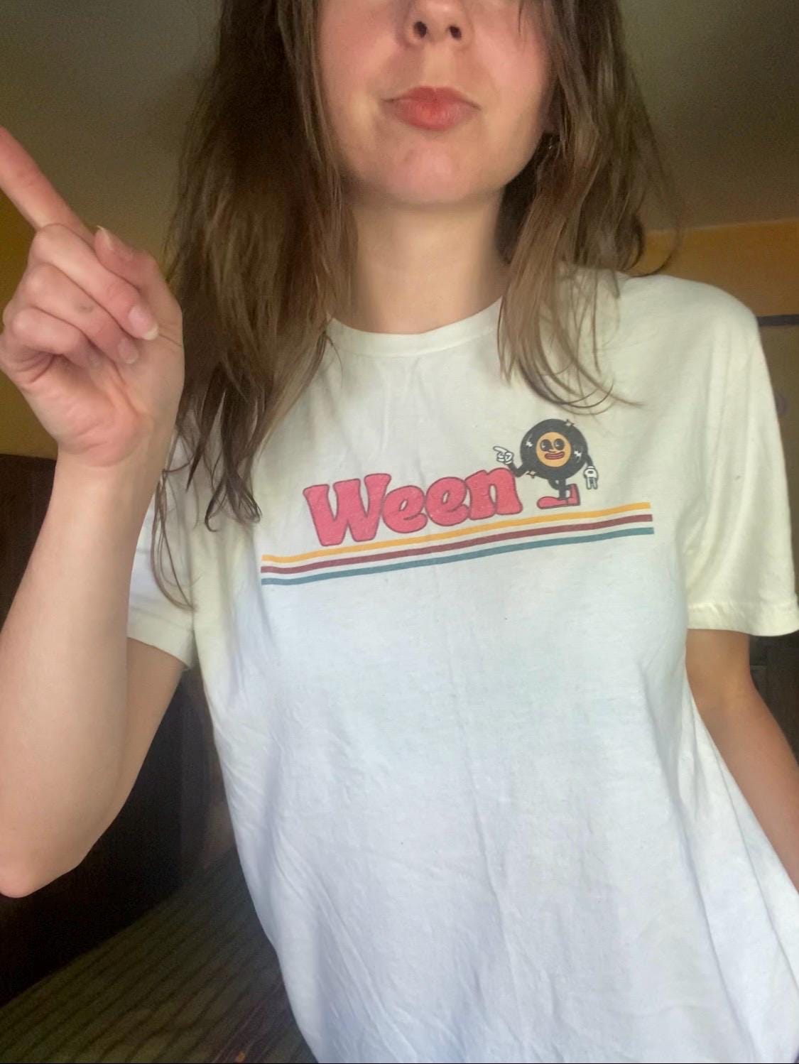 Ween Band T-shirt, Dean and Gene Ween, Vintage Style T-shirt - Etsy