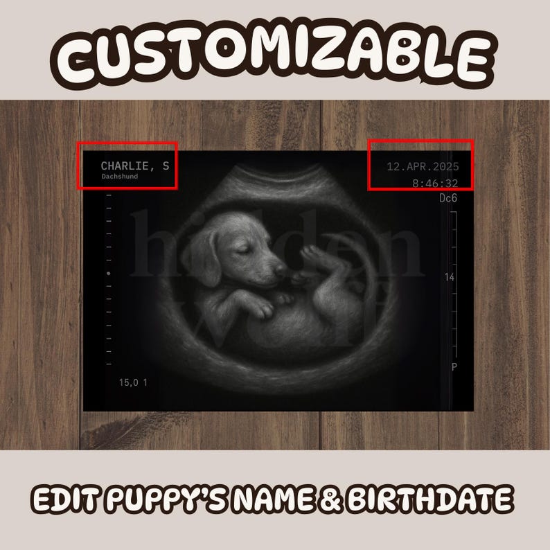 Editable Puppy Ultrasound Canva Template | Fake Pregnancy Announcement ...