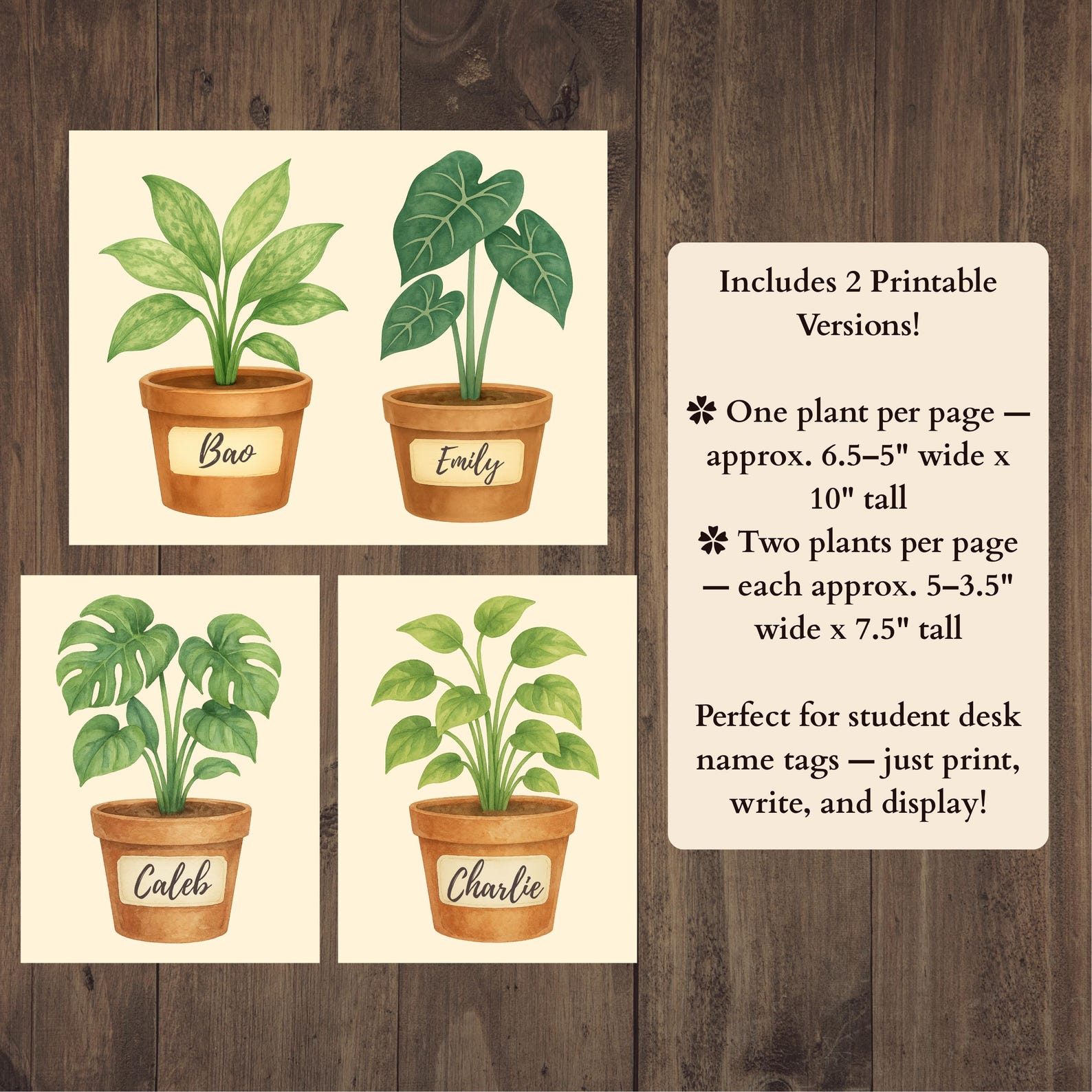 Editable Student Name Tags | Bulletin Board Art | Plant Desk Labels ...