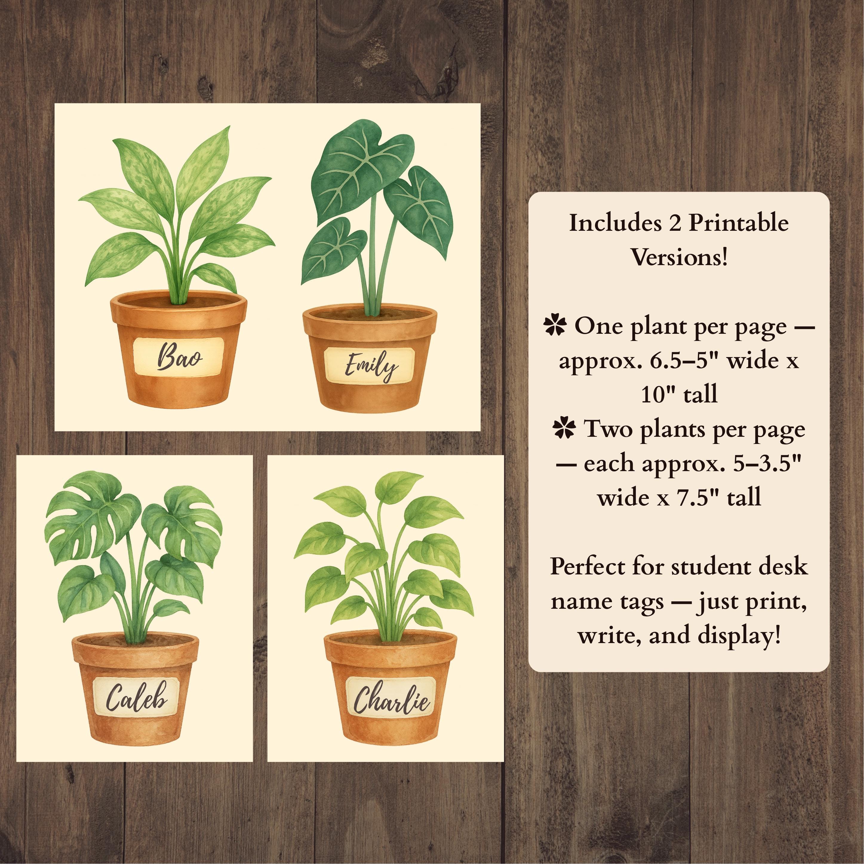 Editable Student Name Tags | Bulletin Board Art | Plant Desk Labels ...