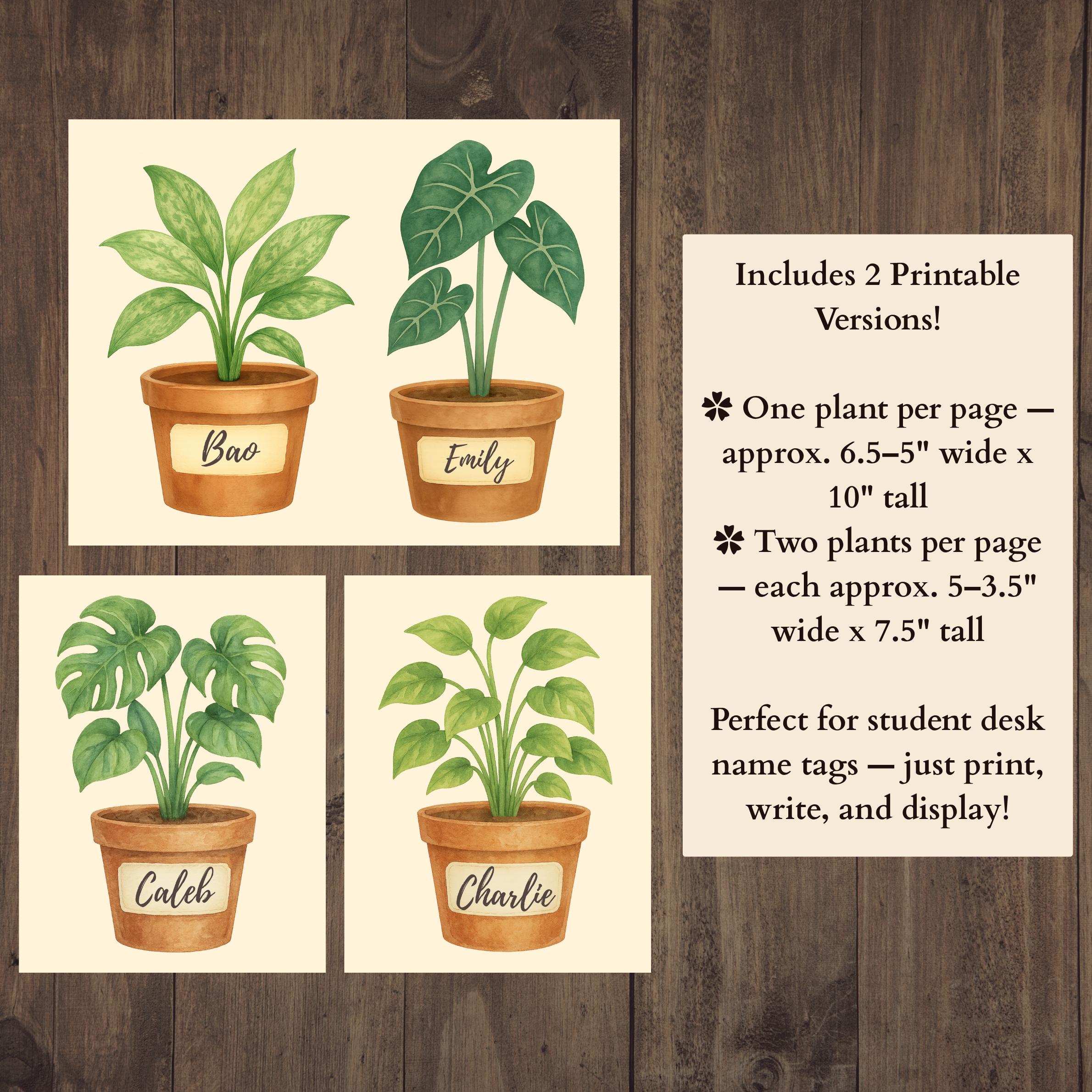 Back to School Bulletin Board | Editable Back to School Garden Theme ...