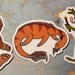 Lake Erie Monster Bessie Ohio Cryptid Vinyl Sticker (plesiosaurus) - Etsy