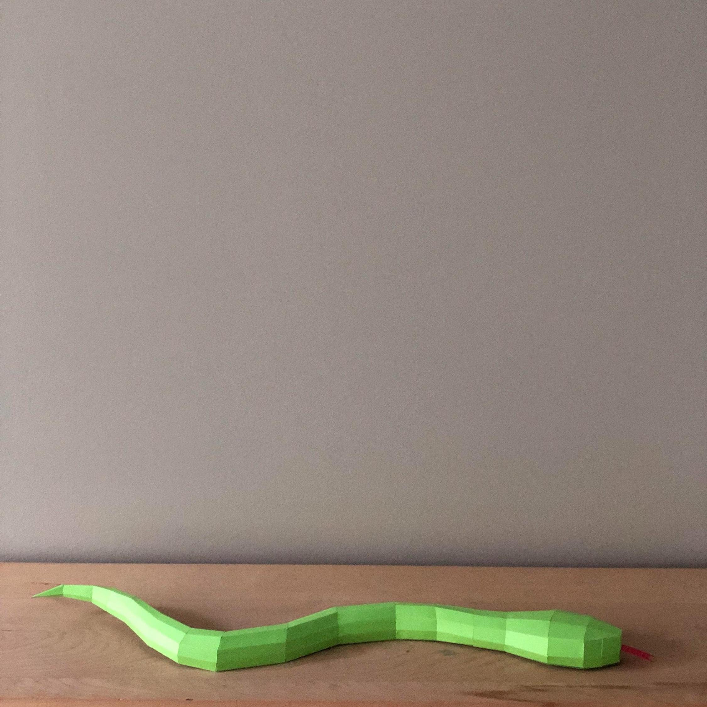 Snake 3D Low Poly Papercraft Model Printable PDF Template DIY Craft - Etsy