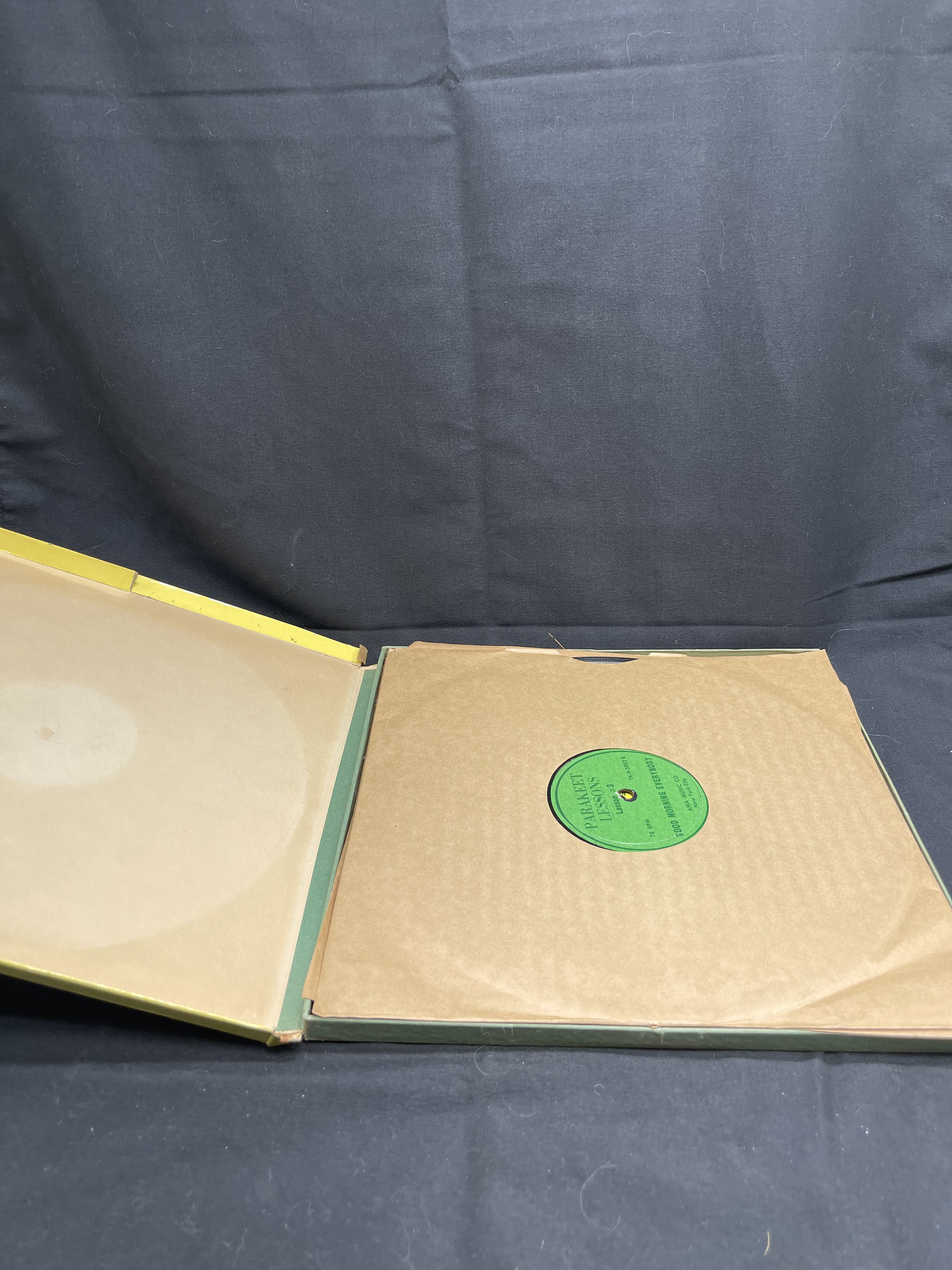 Vintage Advanced Parakeet Lessons 78 RPM Vinyl Records by - Etsy