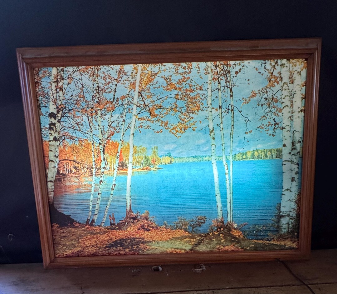 Vintage 1950s Helmscene Electric Self-lighted Picture #88 Lake Saranac ...