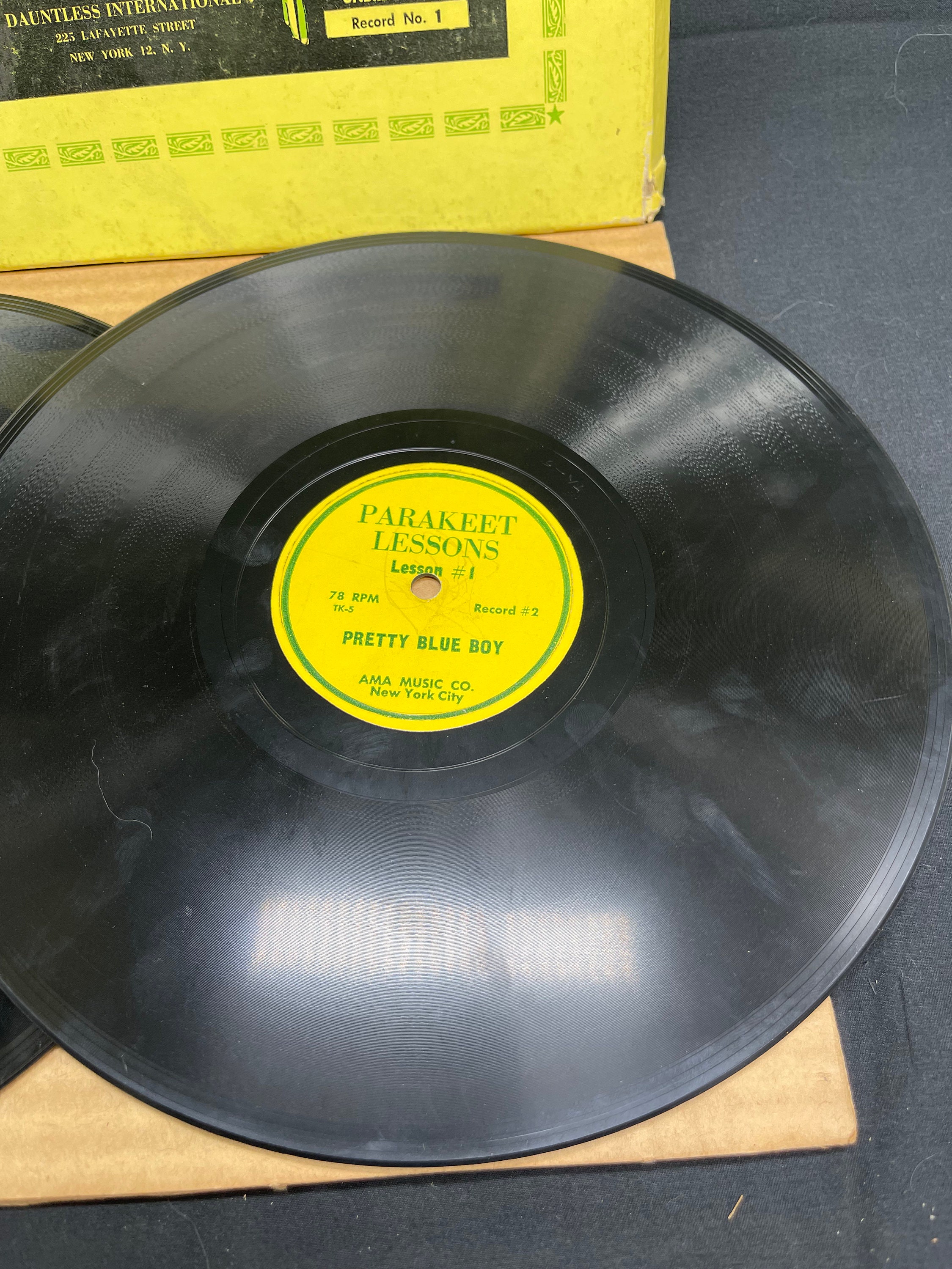 Vintage Advanced Parakeet Lessons 78 RPM Vinyl Records by - Etsy