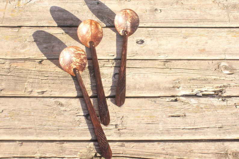 Hand Carved Coconut Shell Spoons: Kithul Wood Handle, Curry Spoons - Etsy