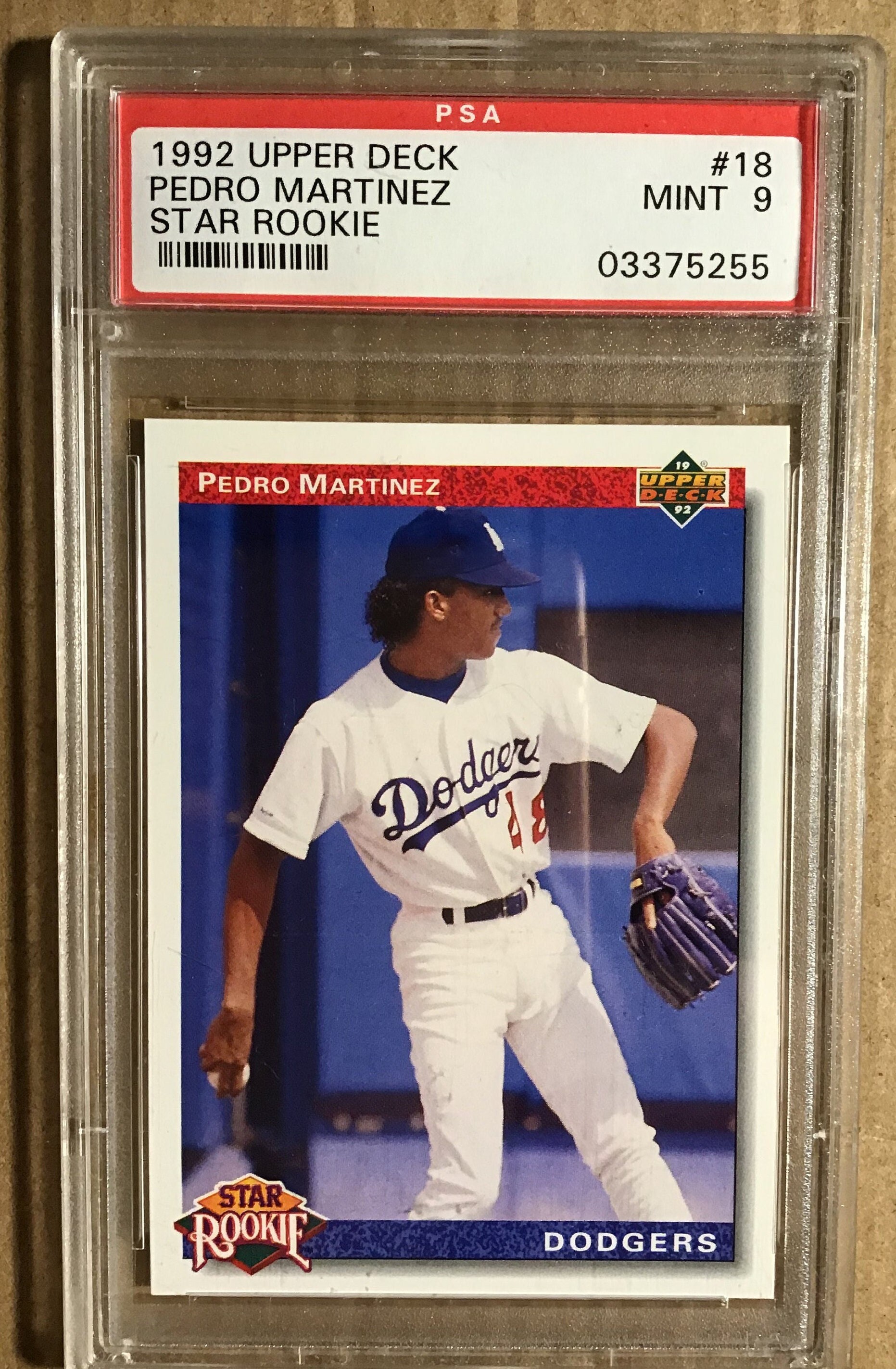 Pedro Martinez Dodgers