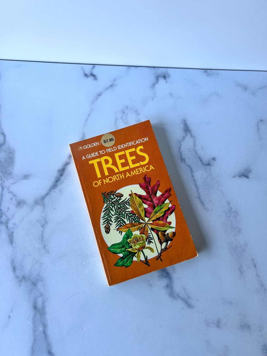 Vintage Golden Guide, Trees of North America Field Guide - Etsy