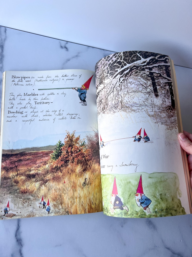 Gnomes 1977: Vintage Illustrated Fantasy Book - Etsy
