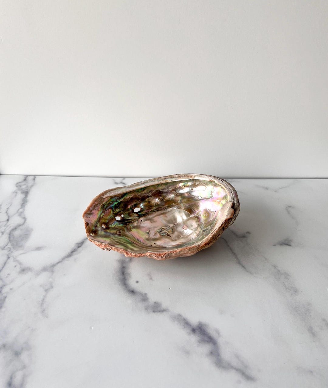 Large Abalone Shell: Iridescent Seashell Decor - Etsy