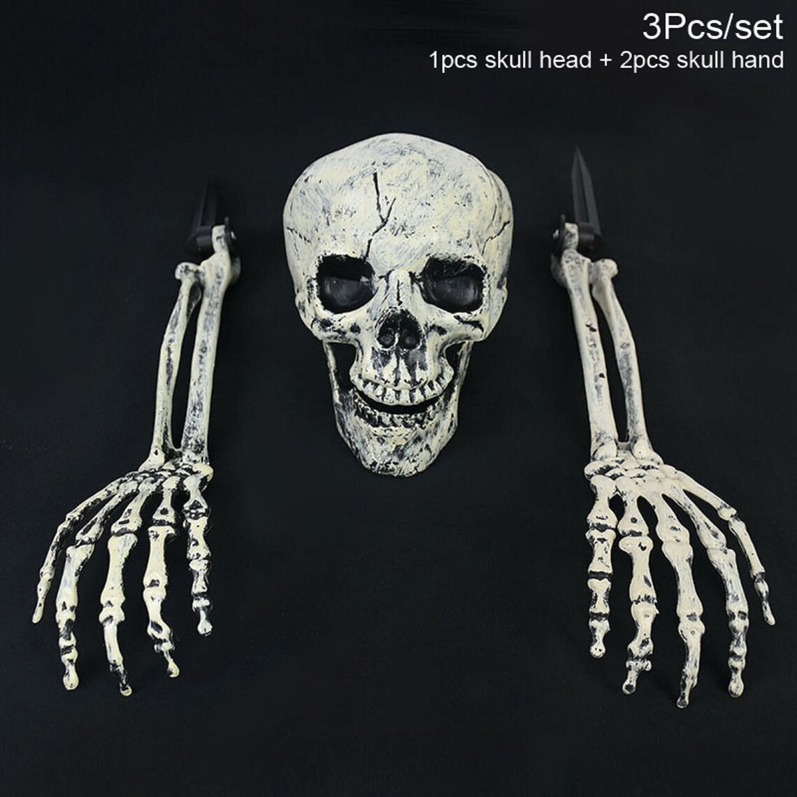 Realistic Skull Skeleton Head Human Hand Arms Use for - Etsy