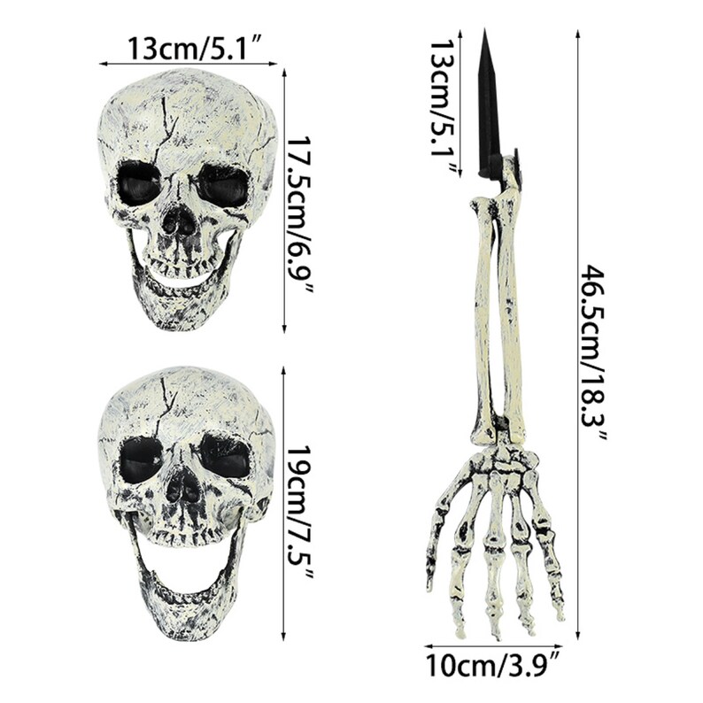 Realistic Skull Skeleton Head Human Hand Arms Use for - Etsy
