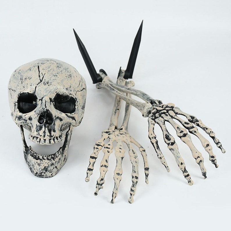 Realistic Skull Skeleton Head Human Hand Arms Use for - Etsy