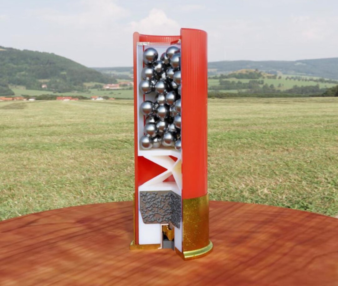 12 Gauge 12 Cross Sectioned Shell - Etsy