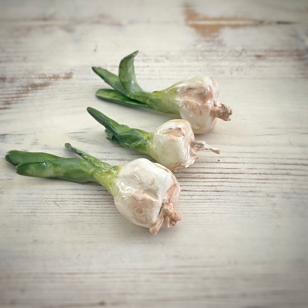 Ceramic Mini Garlic Set of 3 Tiered Tray Kitchen Home Decor Photography ...