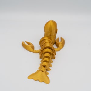 Lobster Rock Lobster 3d Printed Fidget Toy Rocktopus the Rock Dwayne ...