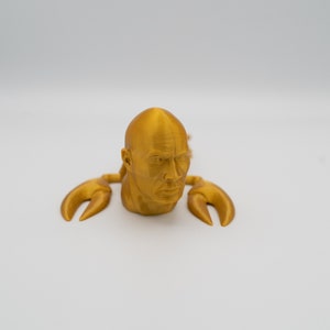 Lobster Rock Lobster 3d Printed Fidget Toy Rocktopus the Rock Dwayne ...