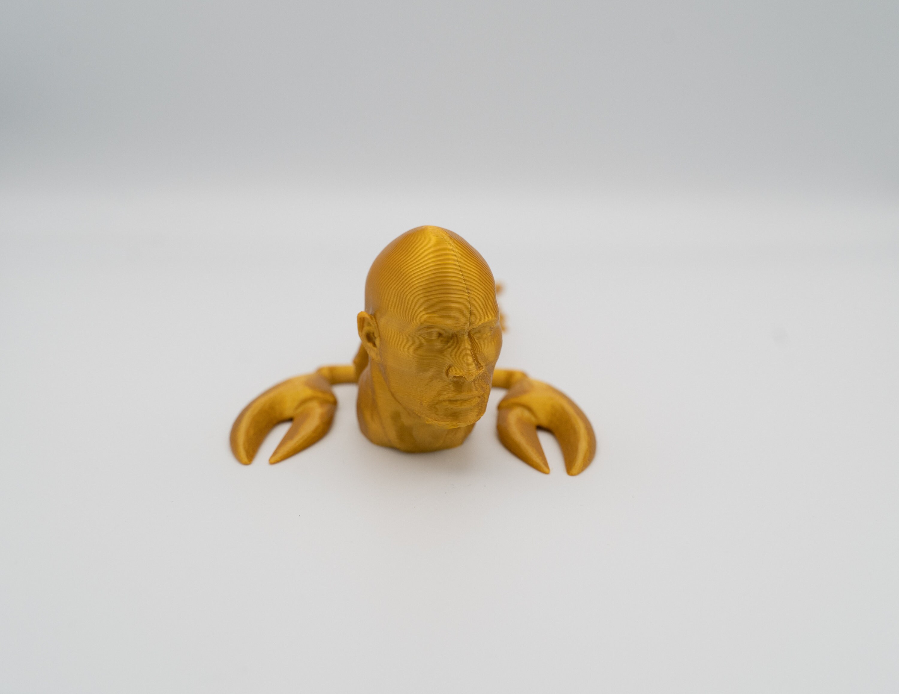 Lobster Rock Lobster 3d Printed Fidget Toy Rocktopus - Etsy UK