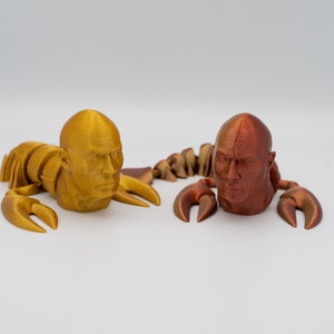 Lobster Rock Lobster 3d Printed Fidget Toy Rocktopus the Rock Dwayne ...