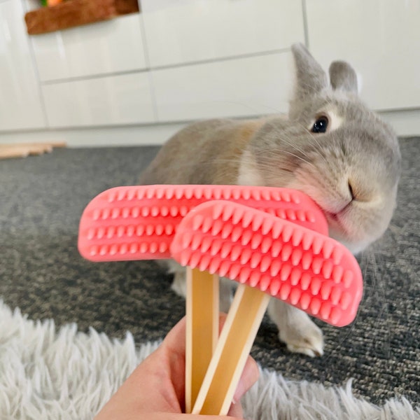 Bunny Brush - Etsy