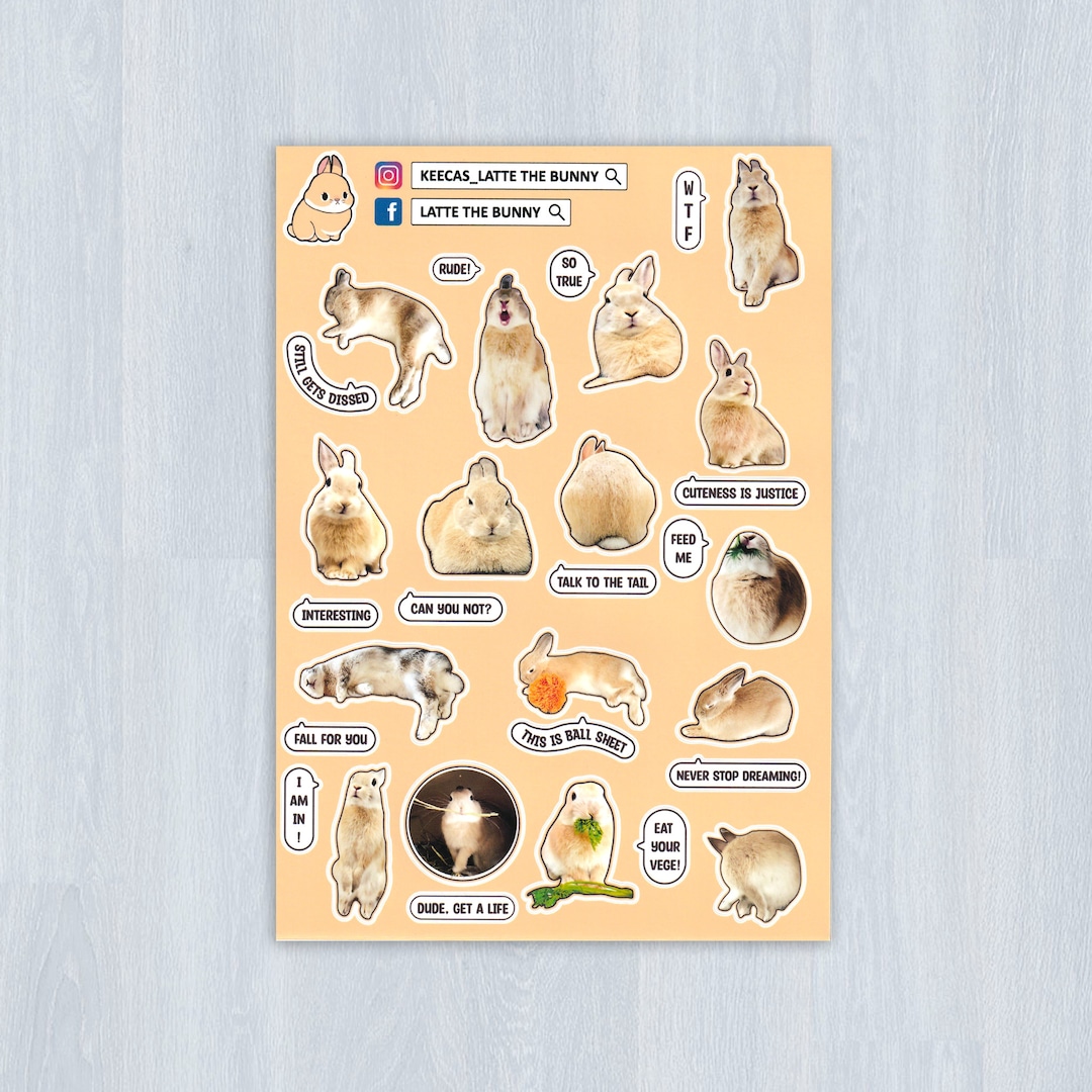 Funny Latte the Bunny Sticker Sheet: Waterproof PVC Stickers - Etsy