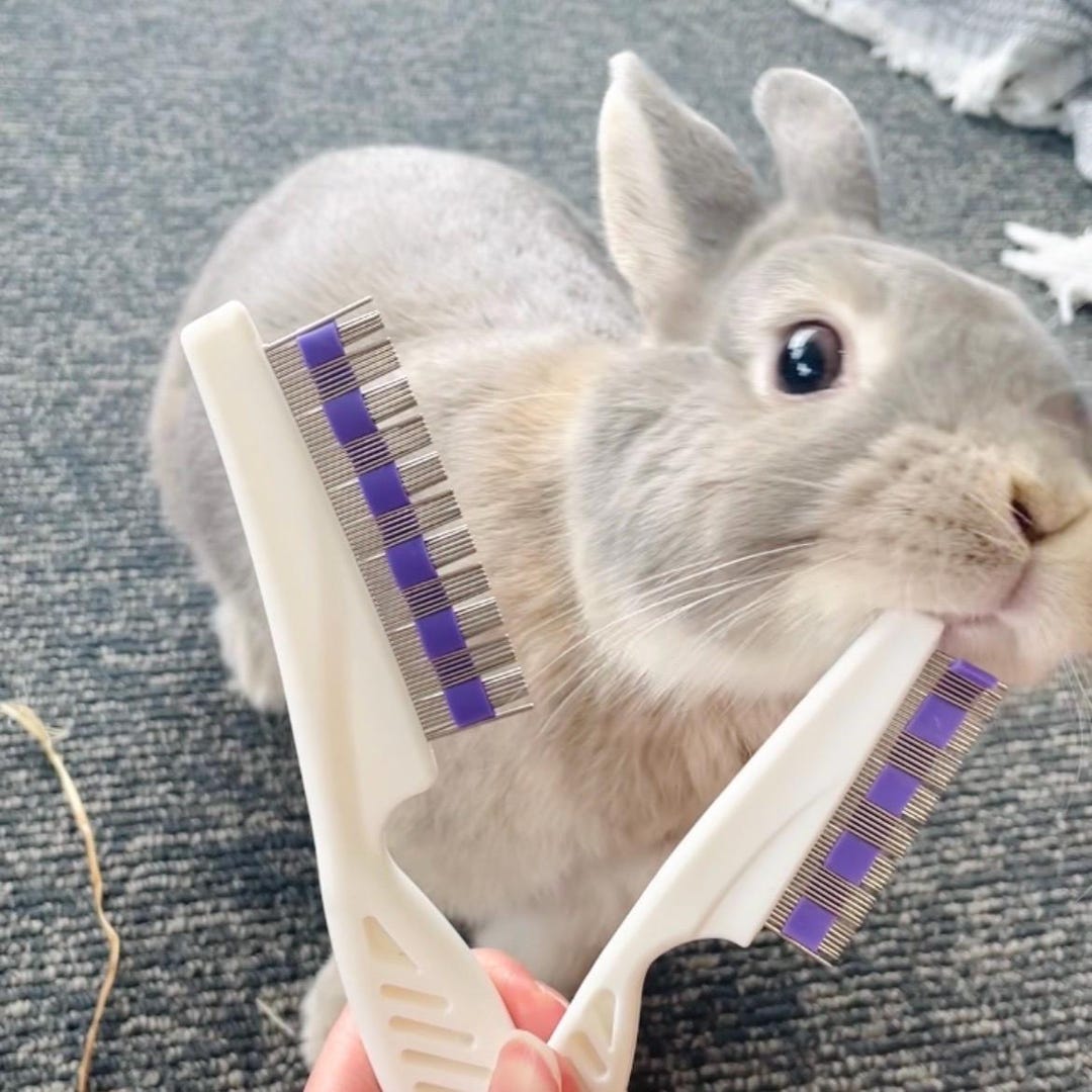 Rabbit Grooming Brush Set: Deep Clean Bunny, Chinchilla, Guinea Pig - Etsy