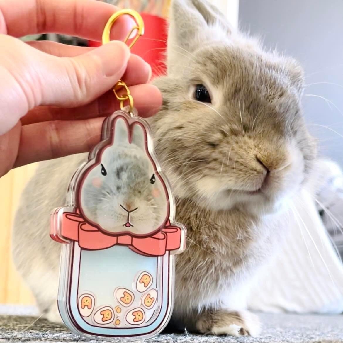 Large Shakable Cute Bunny Rabbit Emoji Eggs Jar Keychain/ Keyring ...