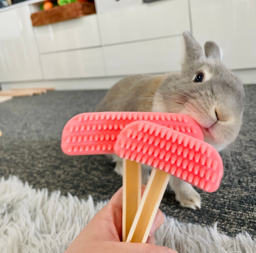 Gentle Silicone Rabbit Brush, Bunny Brush, Bunny Groom, Bunny Comb ...