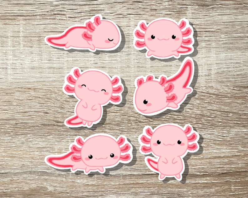 Axolotl Sticker Sheet Bullet Journal Stickers Planner - Etsy