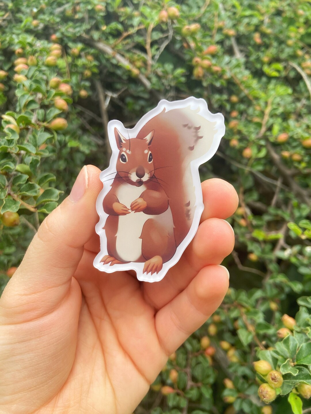 Squirrel Magnet | Fridge Magnet | Squirrel Decoration | Acrylic ...