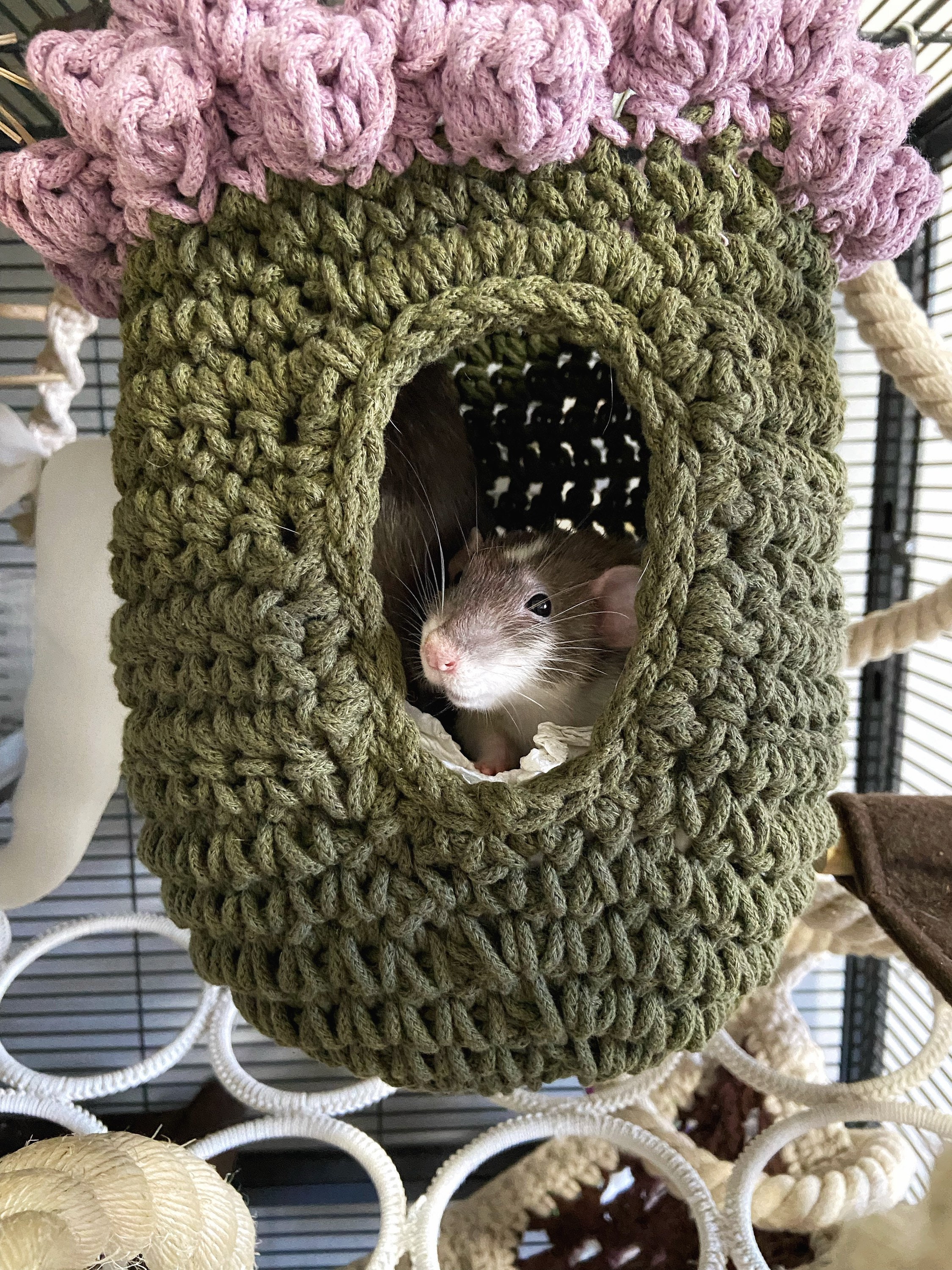 Acorn Basket Hanging Crochet Bed for Pet Rats Digital Pdf - Etsy