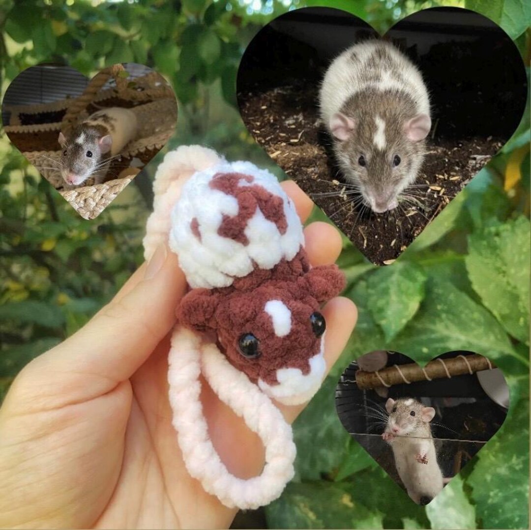 Custom Little Rat Charm, Pet Memorial, Rat Amigurumi, Car Hanger - Etsy